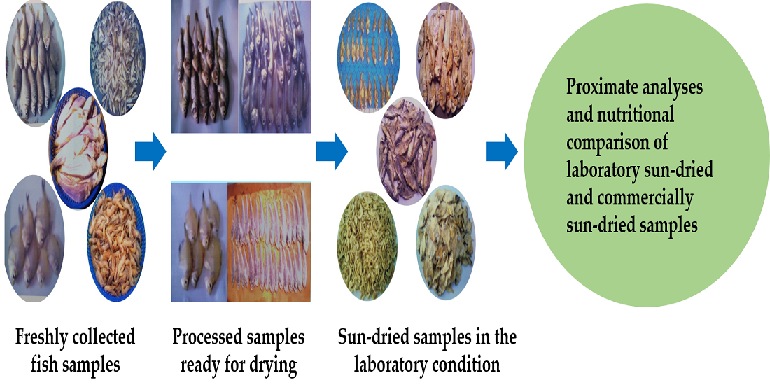 Current Science Publishing