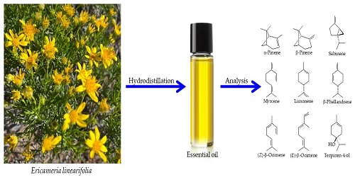 Current Science Publishing